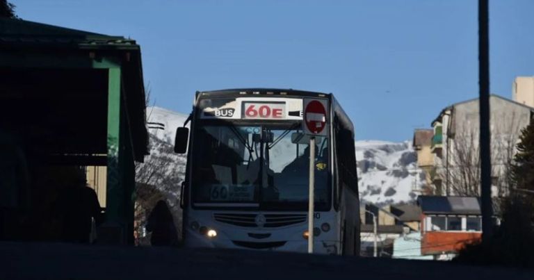 Mi Bus fue autorizado por el Municipio a sumar nuevos ramales y ...
