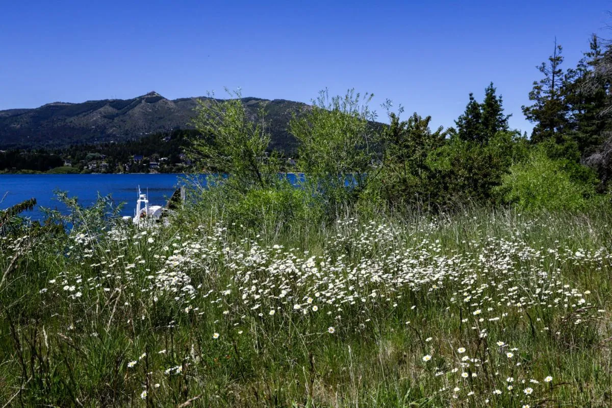 Mariscotti, el hombre que investigó el Proyecto Huemul y habló con ...