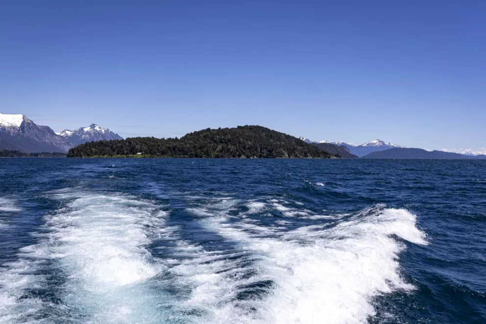 Fue alumno de quienes aprendieron con Balseiro, analiza el Proyecto ...