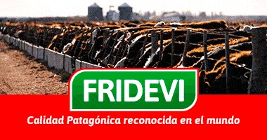 Quién es y a qué se dedica Sol Simunovic, la nueva novia de Esteban ...