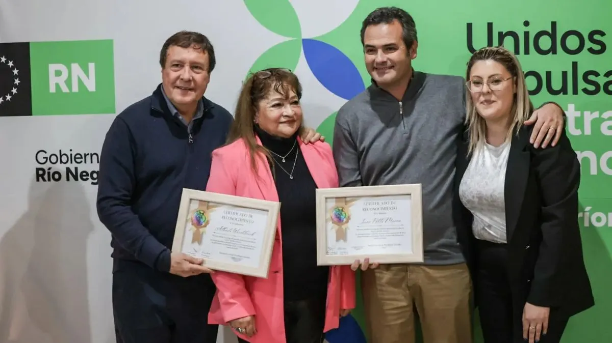 Alto Valle: Provincia matriculó a 110 profesionales en psicología ...