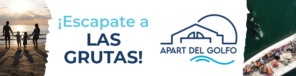 El VMOS es la obra privada más grande de Argentina y tendrá impacto ...