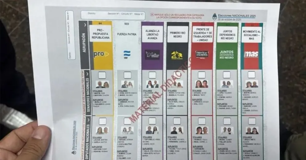 Cómo votar con la boleta única de papel: claves, mitos y ...